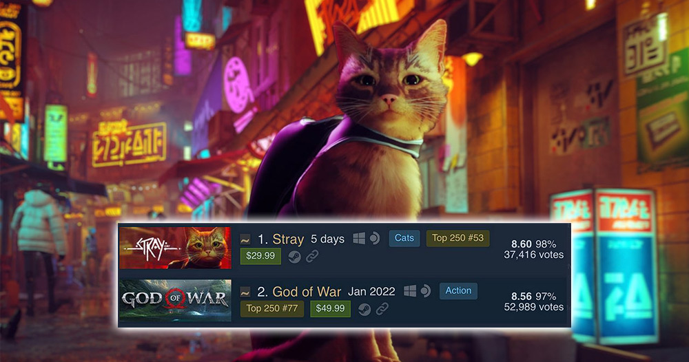 Stray Jadi Game dengan Review Paling Positif di Steam, Kalahkan God of War - gamerwk.com